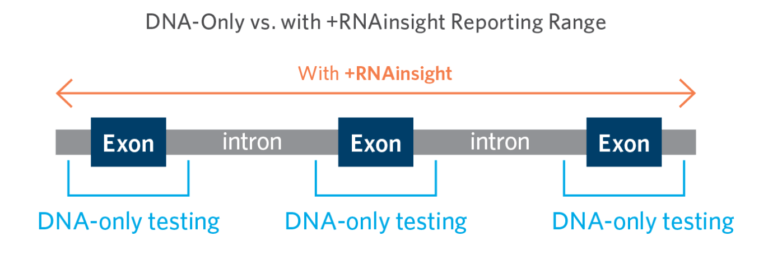 Ambry Genetics Launches Paired RNA and DNA Testing for Hereditary Cancer