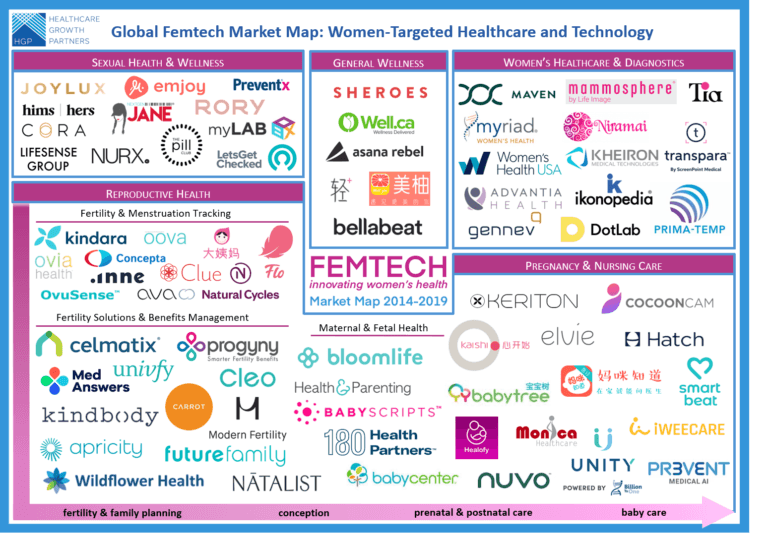 Future of Femtech and Technology: An Emerging Innovative Crossroads