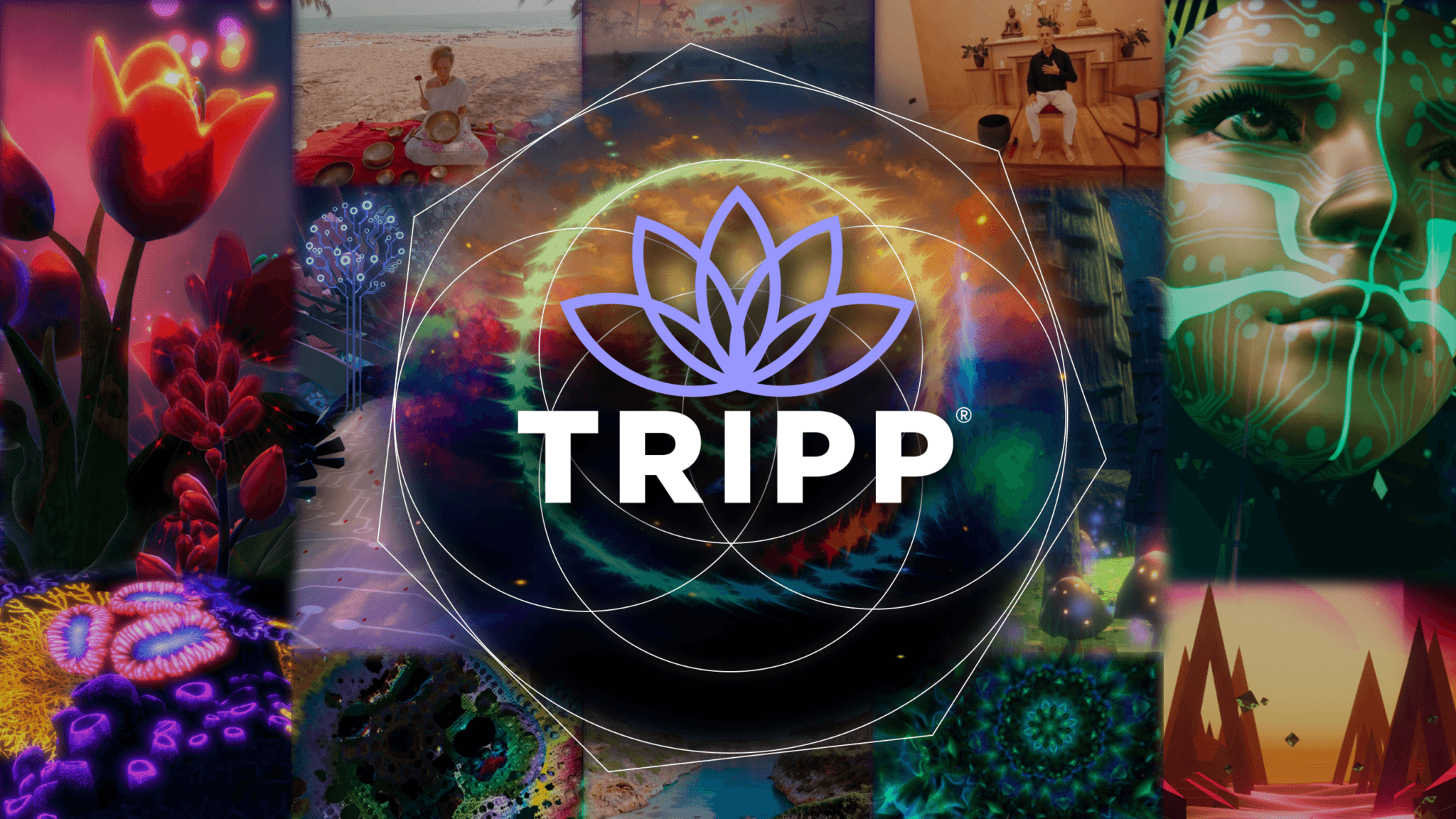 TRIPP Secures $11M to Expand Digital Psychedelic Wellness Platform for ...