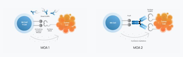 23andMe Scores FDA Clearance for Novel Cancer Immunotherapy Targeting ...